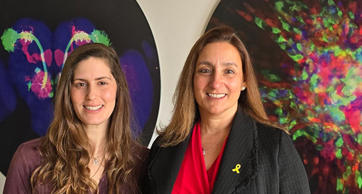 כל היחידות מוכנות | אוניברסיטת ת"א | אוניברסיטת תל אביב